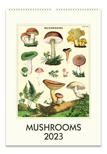 calendars – Atlas General Store