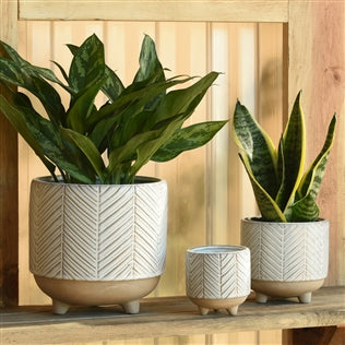 home decor – Atlas General Store