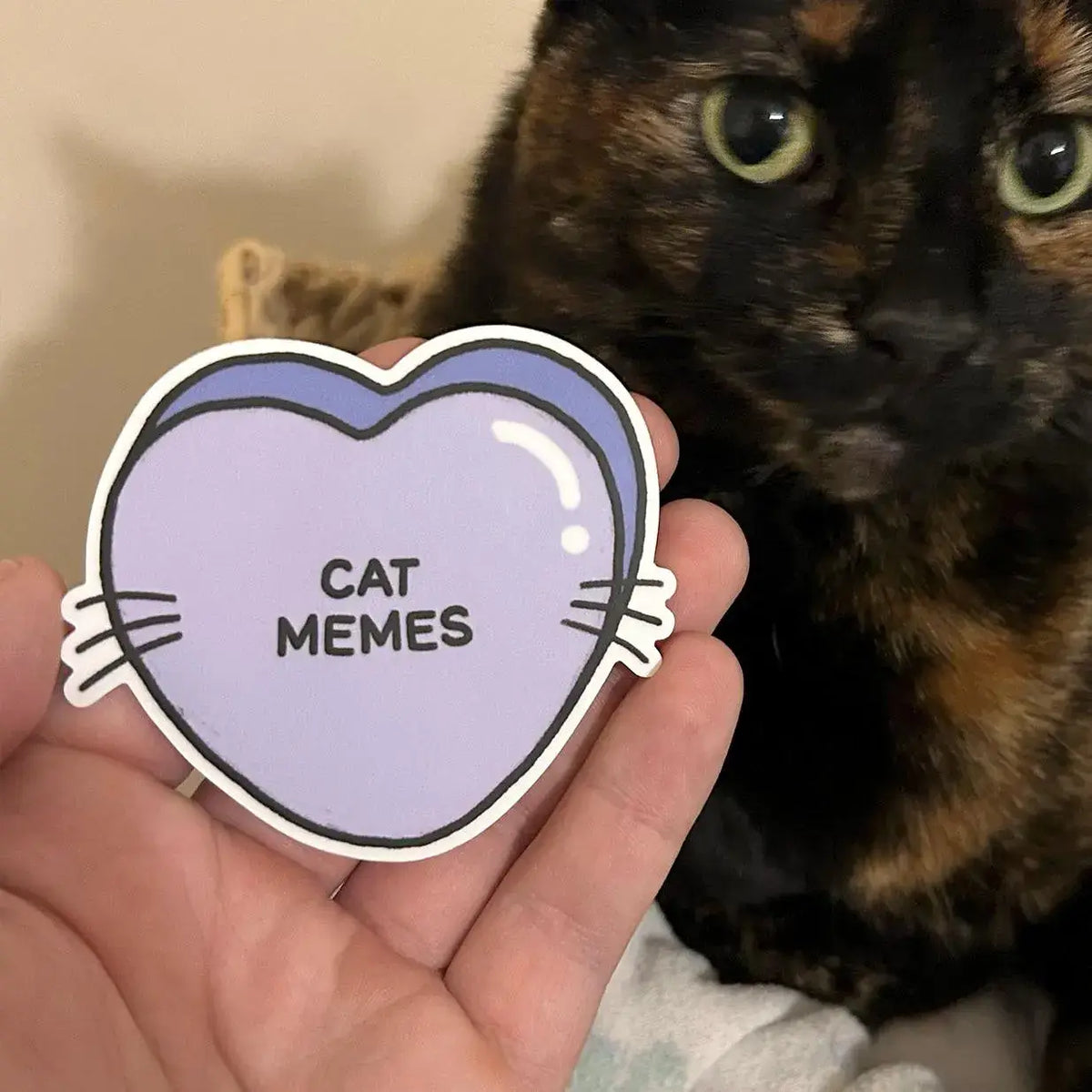 Cat Memes Candy Heart Sticker – Atlas General Store